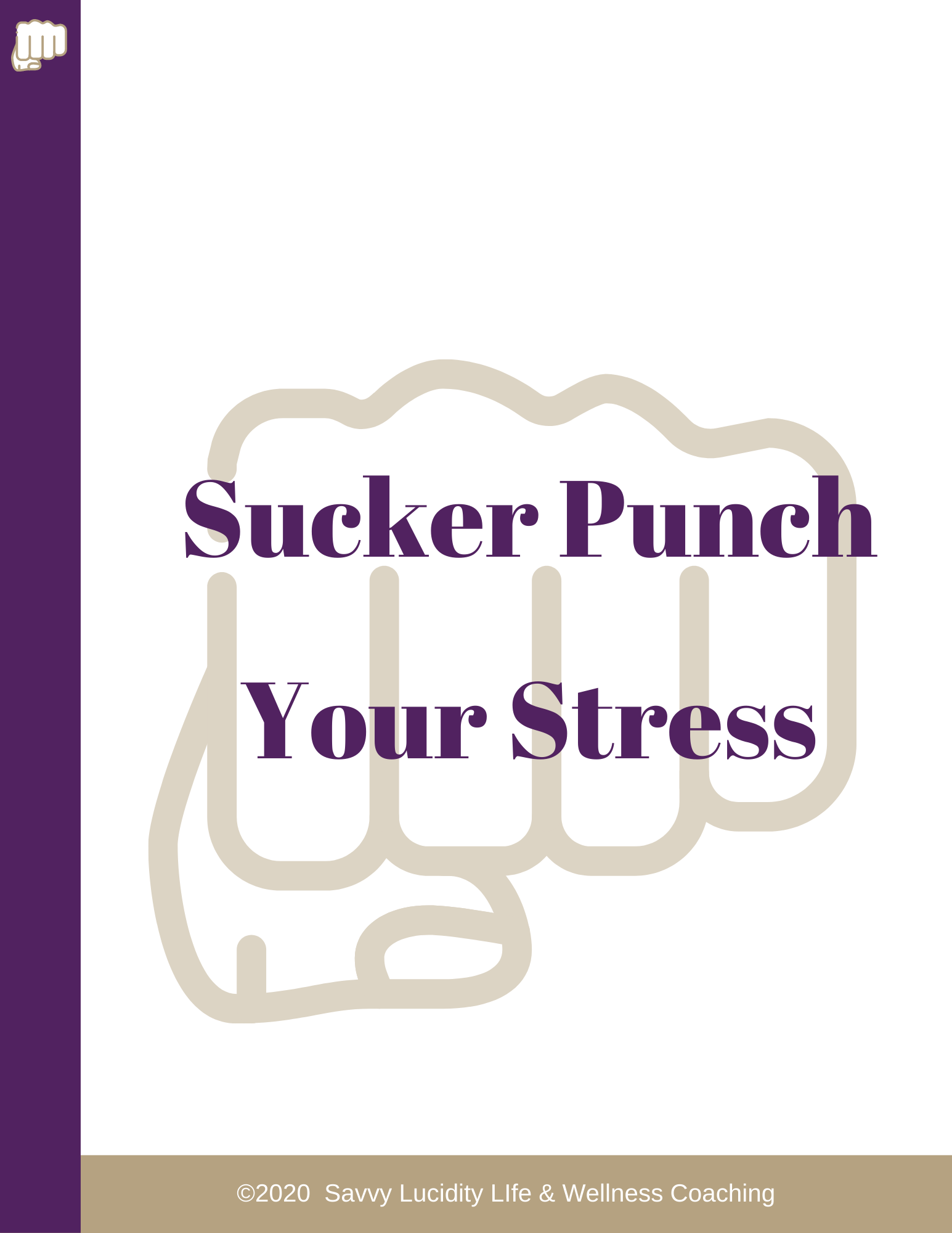 Sucker Punch Your Stress! – Savvy Lucidity Life & Wellness Coaching